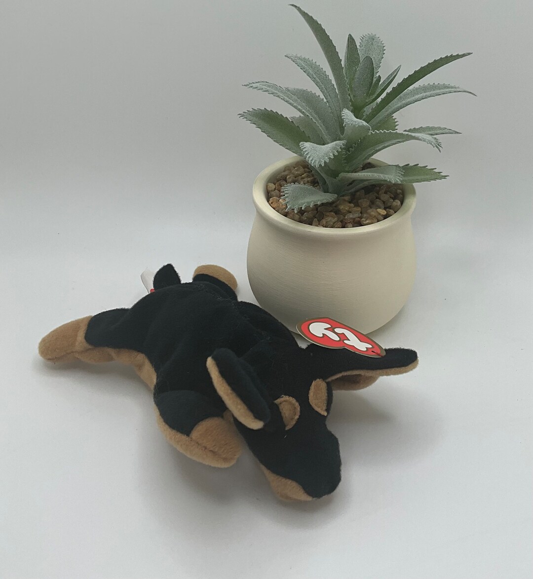 Cat Toy Catnip Kicker Up-cycled Ty Teenie Beanie Babies - Etsy