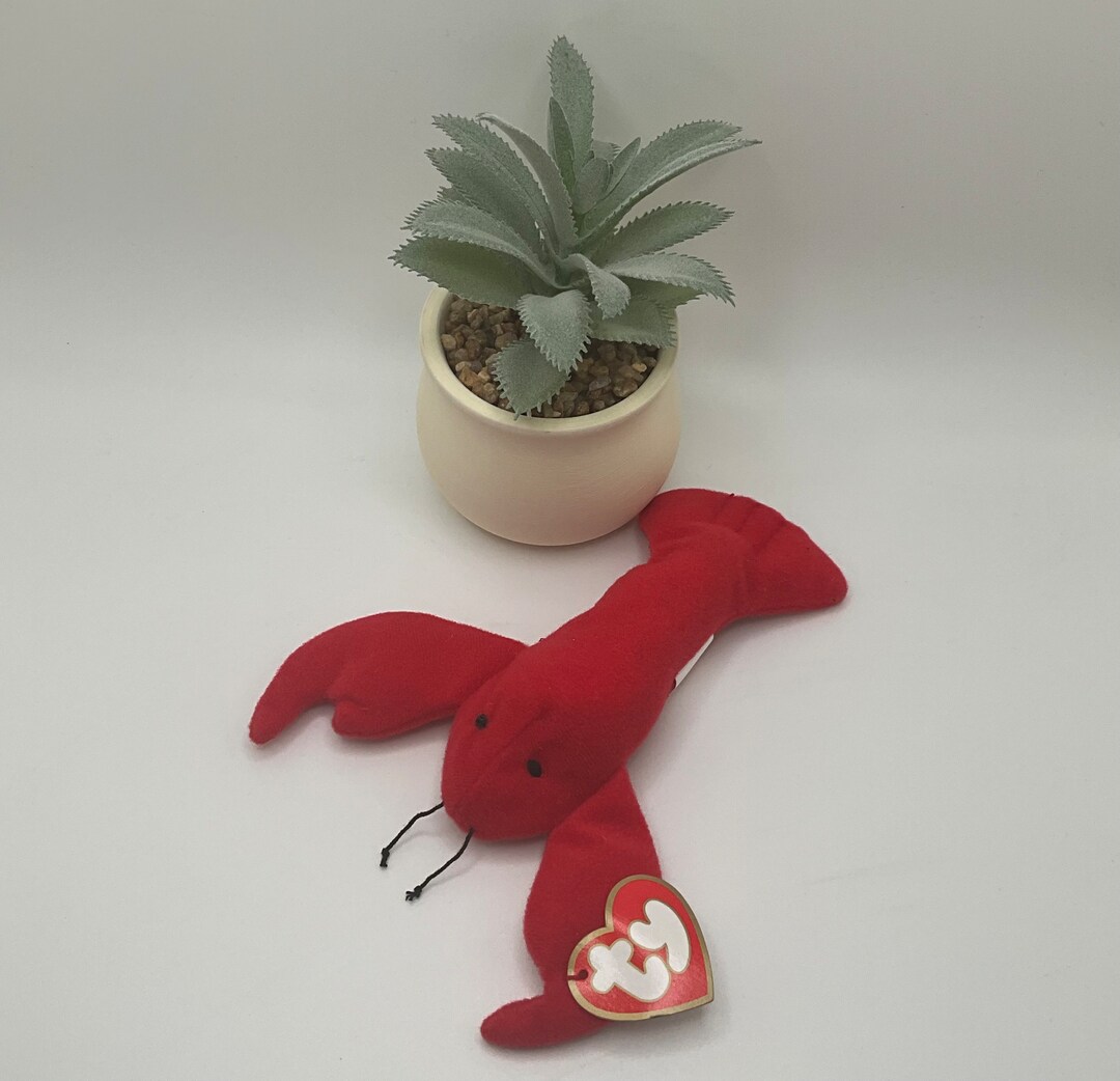 Cat Toy Catnip Kicker Up-cycled Ty Teenie Beanie Babies - Etsy