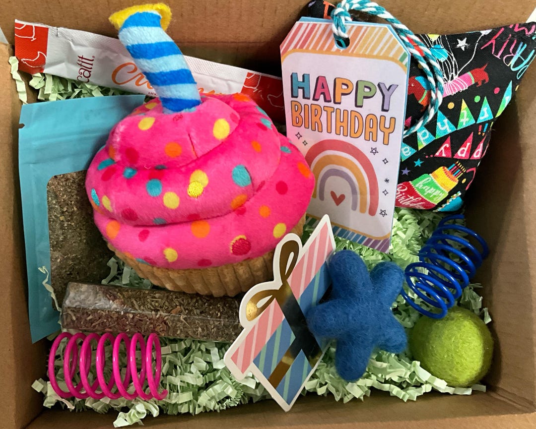 Cat Gift Box-cat Birthday Toys-ready to Ship - Etsy