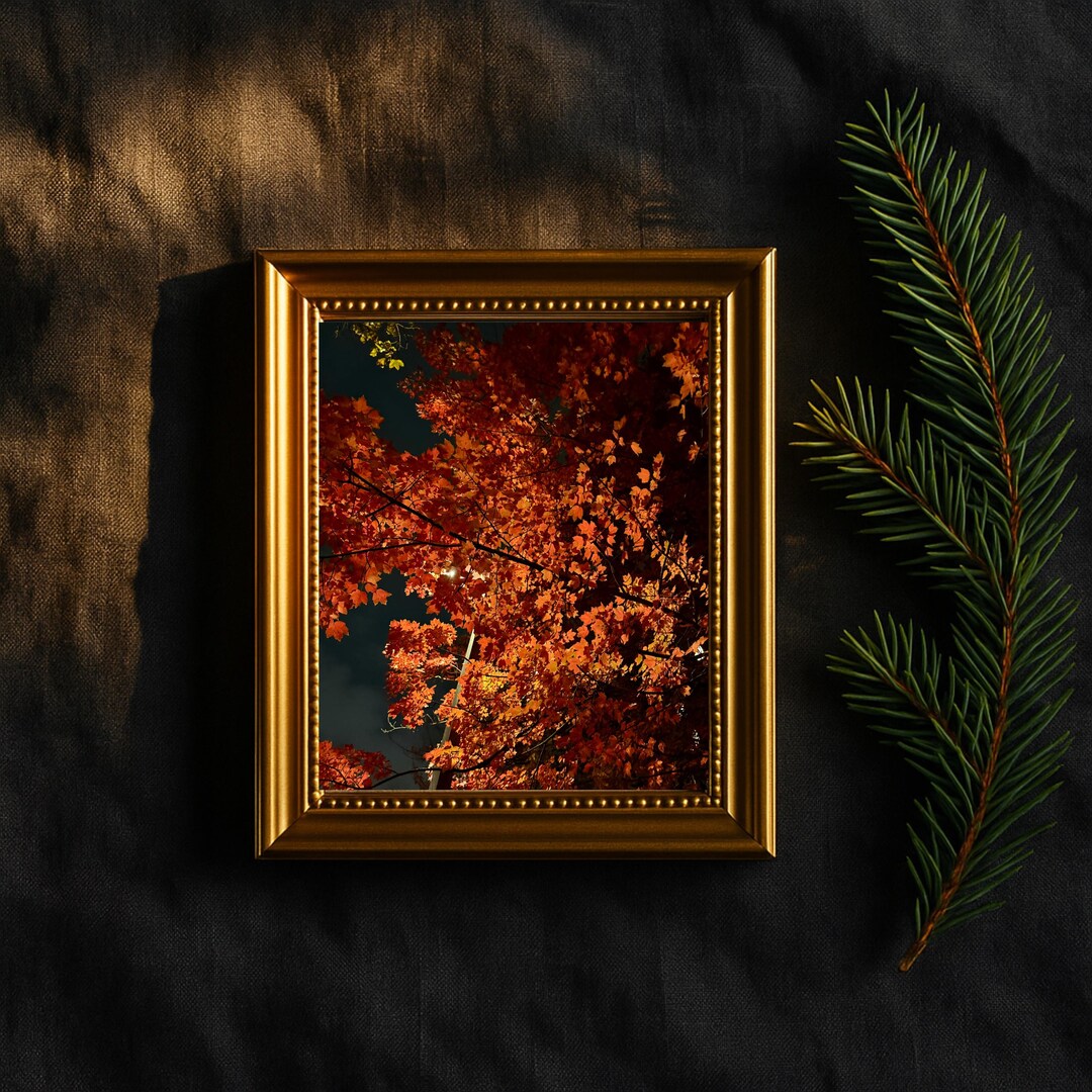 Winter Ember Wall Art Photo Print | Printable Nature | Cozy Seasons ...