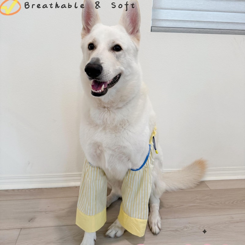 Shoe Cushion Pad - Etsy