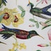 Hummingbird Lamp Shade. Birds. Sparkle. Shine. Trees. Flowers. Shades ...