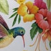 Hummingbird Lamp Shade. Hummingbirds. Birds. Trees. Flowers. Shades Are ...