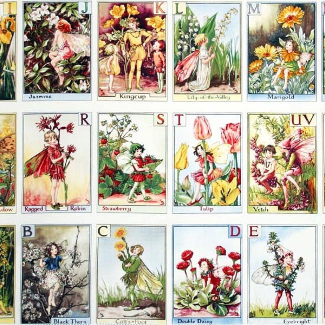 Fairy Panel Fabric, FLOWER FAIRIES, Alphabet Panel, Fairy Panel for ...