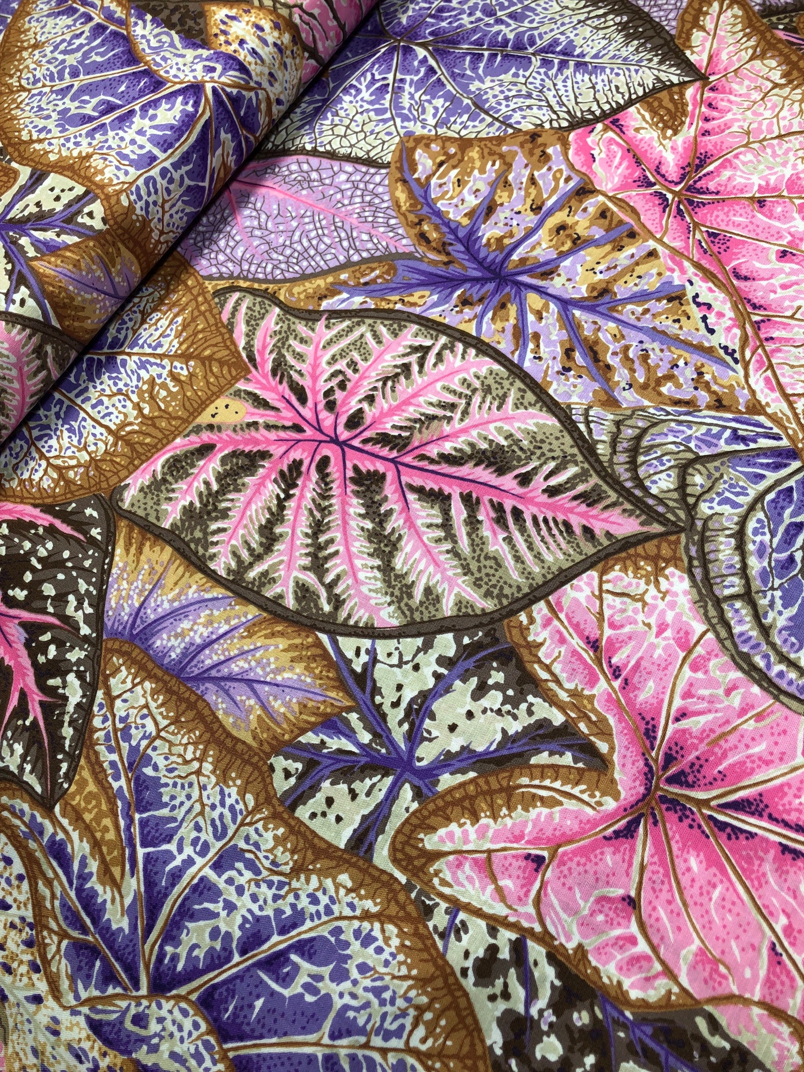 Kaffe Caladiums Pastel PWPJ108 Kaffe Fassett Philip Jacobs - Etsy