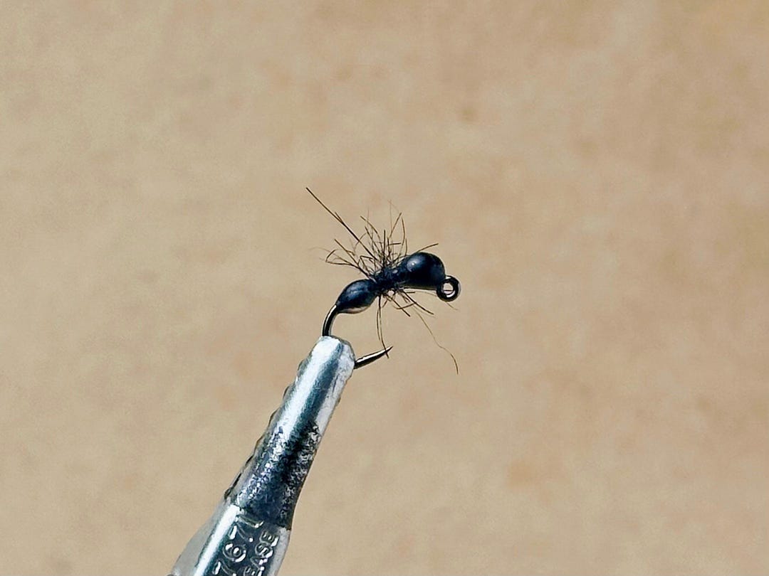 Sunken Ant Nymph Fly - Trout Fishing Flies - Tungsten Bead - Etsy