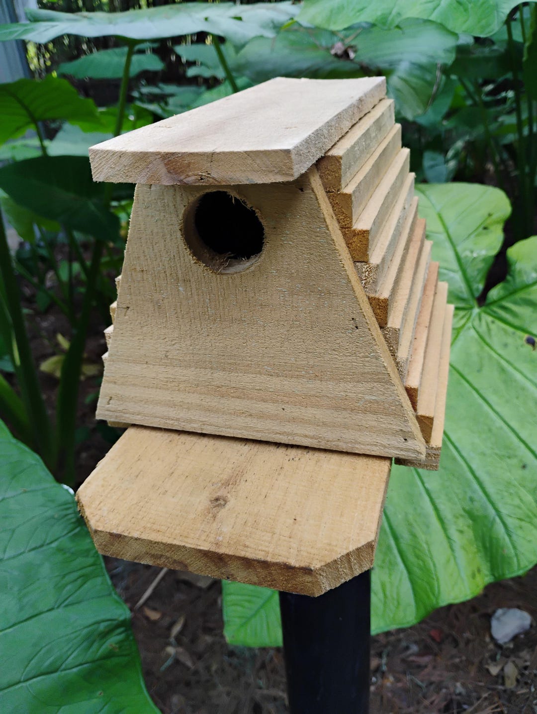 Beautiful Hand Made Bird Pyramid House 6 3/4" Tall Cedar Rough Natural ...
