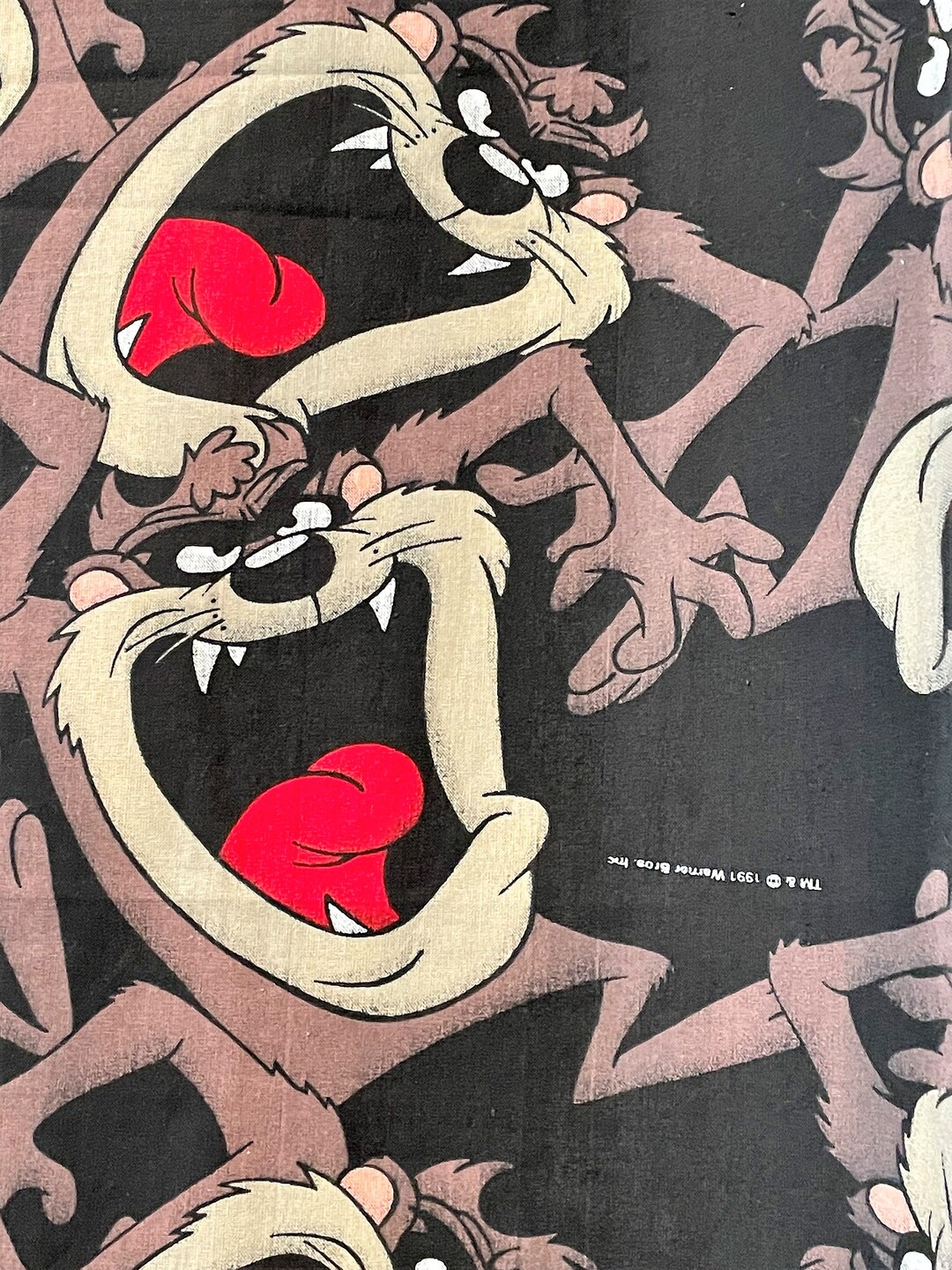 Vintage Taz Fabric Rare 90s WB Warner Brothers Looney Tunes Tazmanian ...