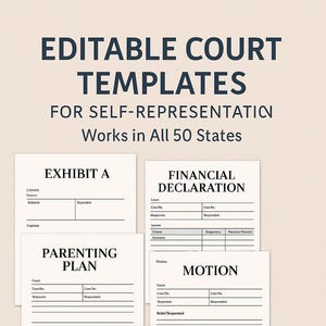 Family Court, Legal Document, Exhibit, Parenting Plan, Finances ...