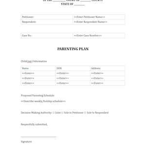 Family Court, Legal Document, Exhibit, Parenting Plan, Finances ...