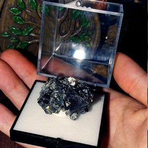 Cassiterite With Pyrite in Labeled Display Box - (display Collectible ...