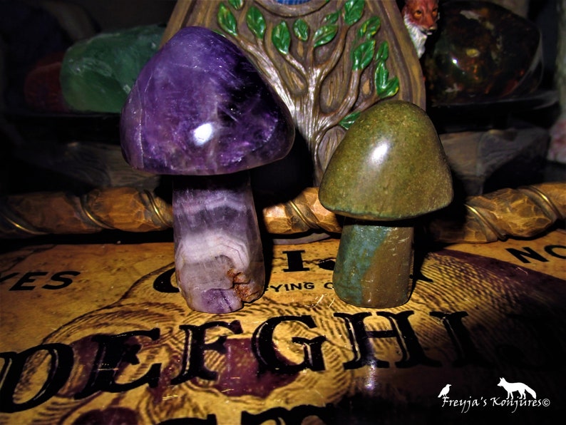 Whimsical Assorted Mushroom Display Specimens the | Etsy