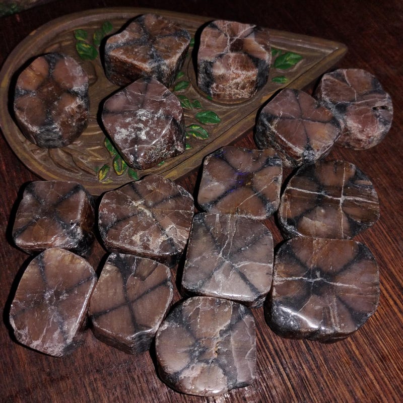 Chiastolite - Etsy