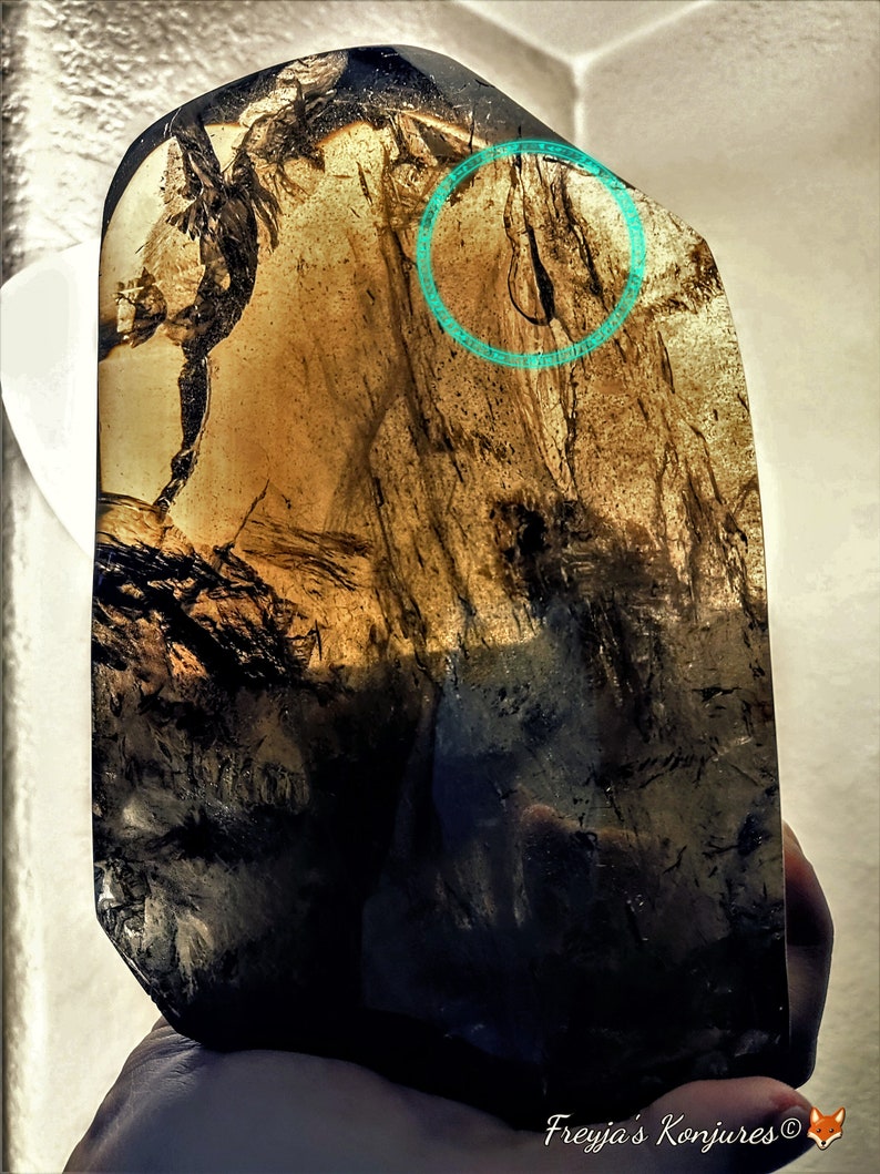 A Giant Museum Quality Brazilian Enhydro Fluid Inclusion - Etsy