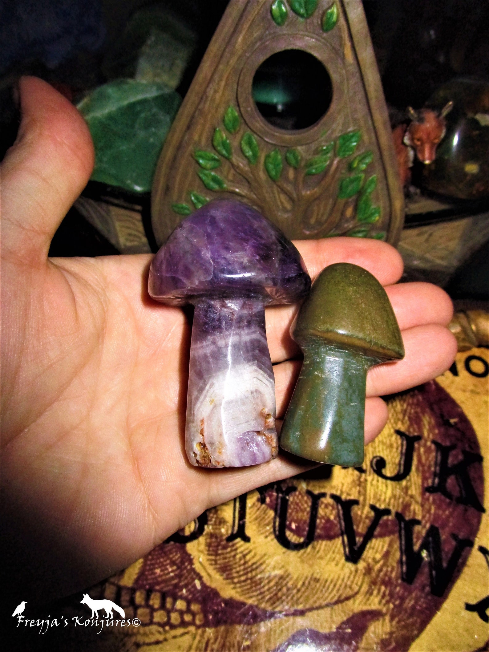 Whimsical Assorted Mushroom Display Specimens - "the Fairies Toadstools ...