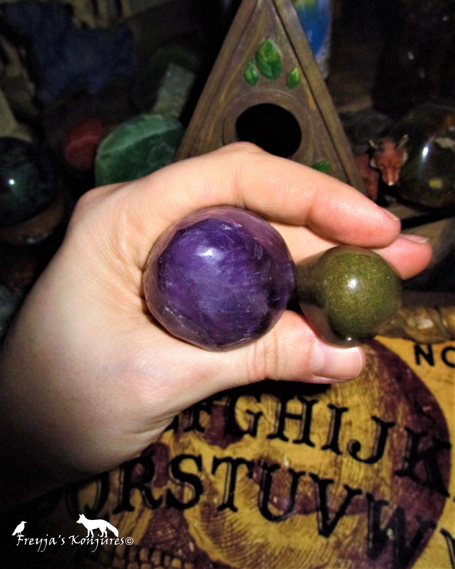 Whimsical Assorted Mushroom Display Specimens the | Etsy