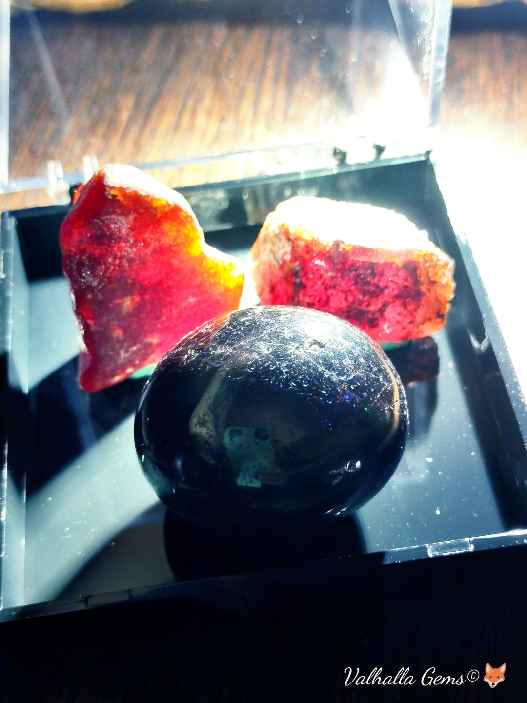 Star Garnet, Orange Malaia Garnet and Red Umba Valley Garnet in Labeled ...