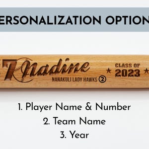 Personalized Player Number & Team Mini Bat | Laser Engraved Bat ...