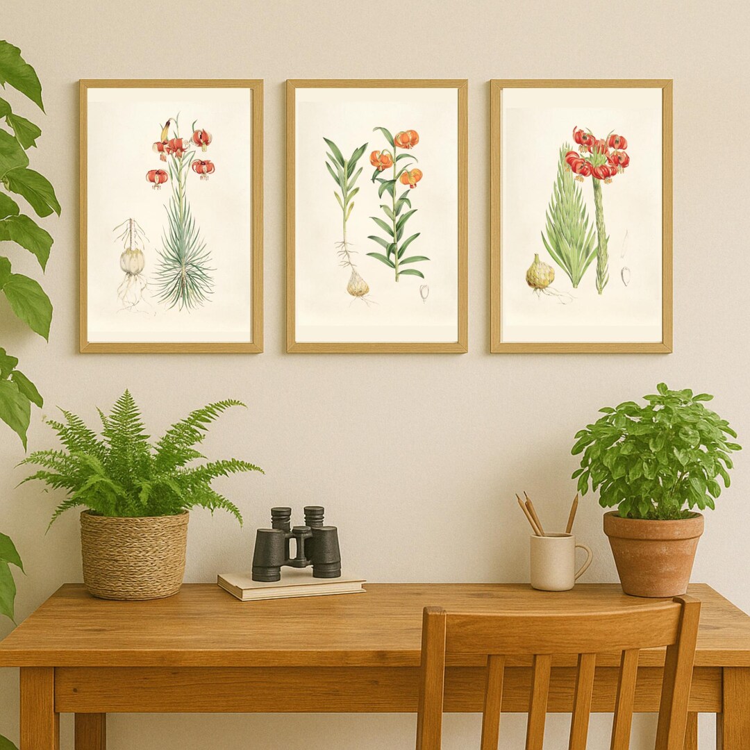 Vintage Lilies Set of 3 | Victorian Wall Art | Antique Flower ...