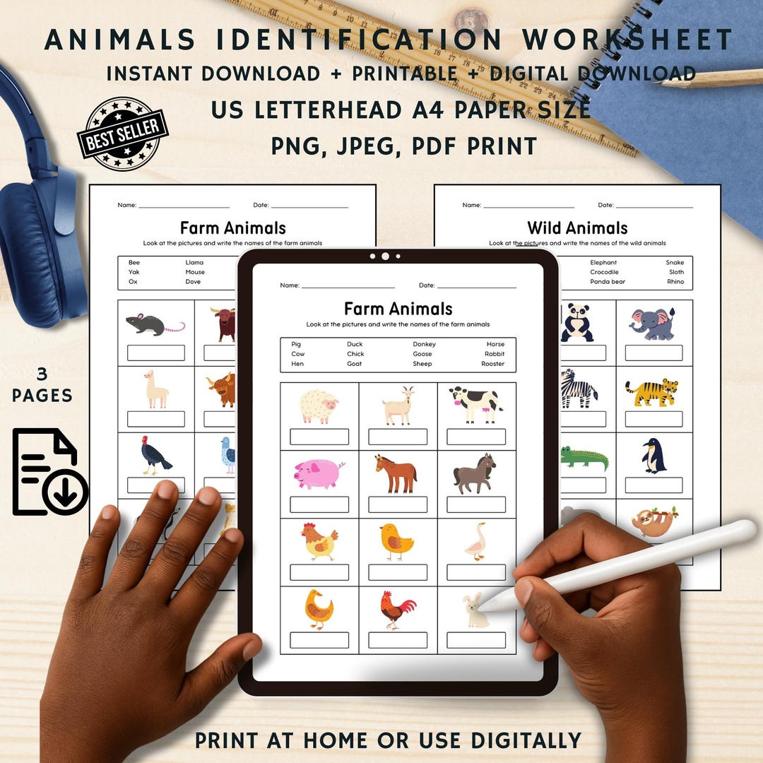Name the Animals Worksheet | Kindergarten and Preschool Educational ...