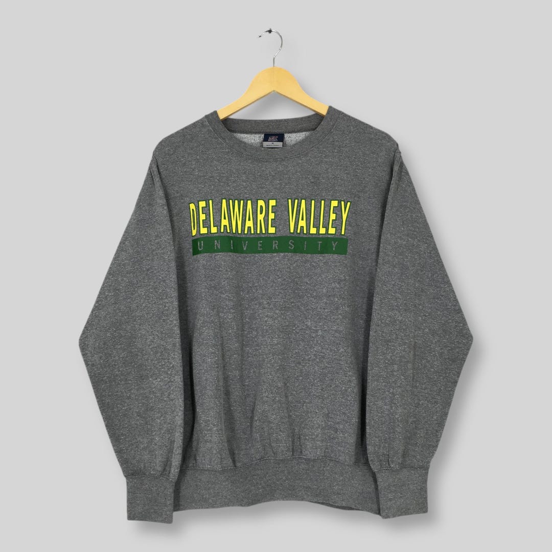 Vintage Y2K Delaware Valley University Sweatshirt Medium Delaware ...
