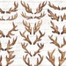 Antlers Watercolour Clipart - Watercolour Fall - Planner Digital Clip ...