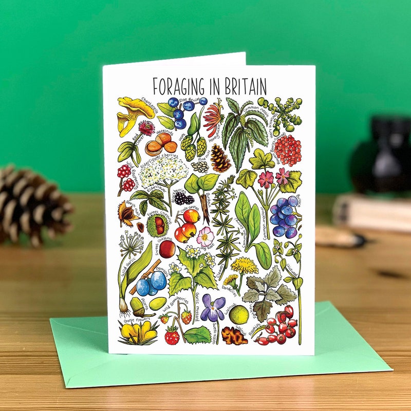 Foraging Plant Cards - Etsy UK