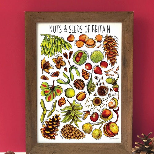 Leaves of Britain Print Trees Poster Nursery Print Wildlife - Etsy