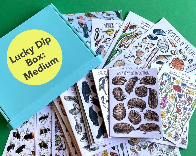 Lucky Dip Box - Medium Size - Stationery Seconds Mystery Box - Etsy