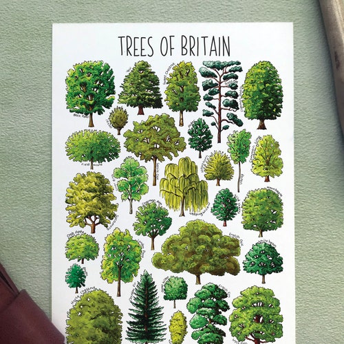 Trees of Britain Watercolour Postcard - Etsy UK