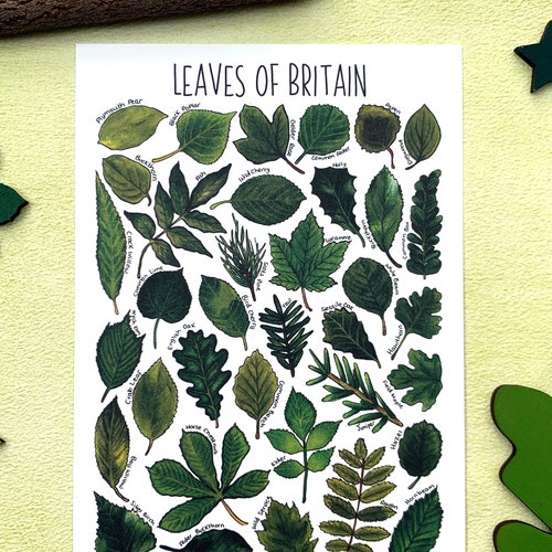 Trees of Britain Watercolour Postcard - Etsy UK
