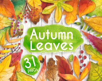 Doodle Fall Vector Pack Autumn Clipart Leaves Clipart | Etsy