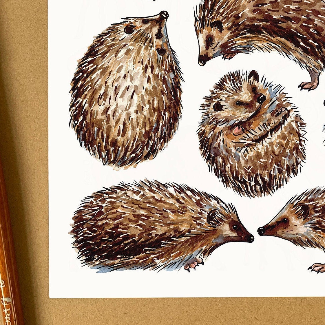 Hedgehogs Watercolour Postcard - Array of Hedgehogs Postcard Notelet ...