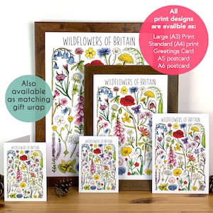 Wildflowers of Britain Print, Flowers Poster, Floral Collection ...