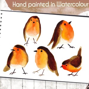 Robin Clipart - Robins Watercolour - Clip Art - Robin Redbreast ...