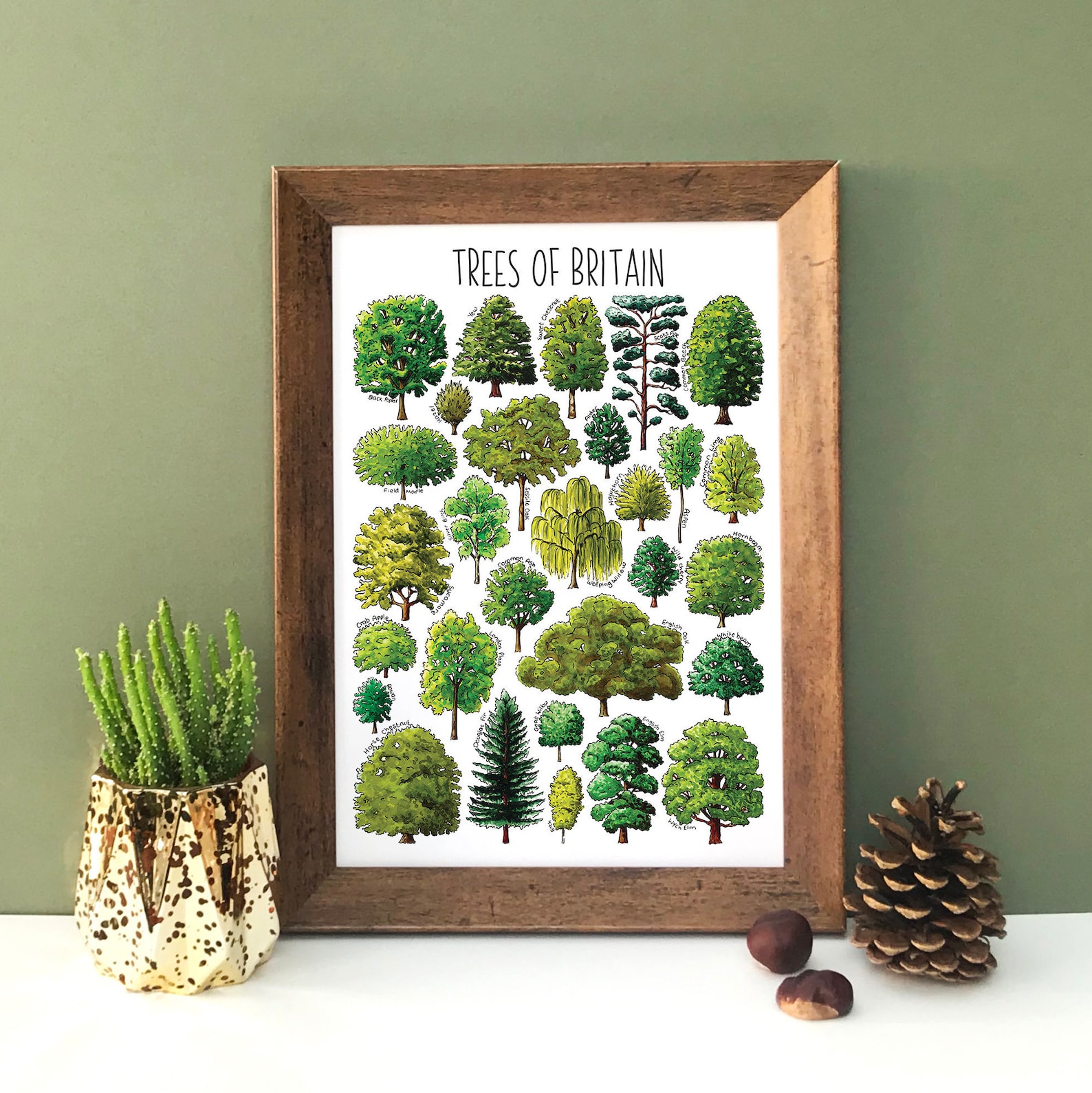 Trees of Britain Watercolour Postcard - Etsy UK