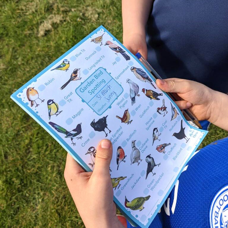 Garden Birds Spotting Worksheet - Educational Wildlife Printable - Etsy