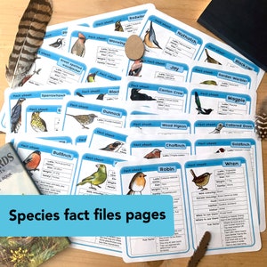 Mega Bundle Garden Birds Nature Learning - Three Mini Studies in One ...