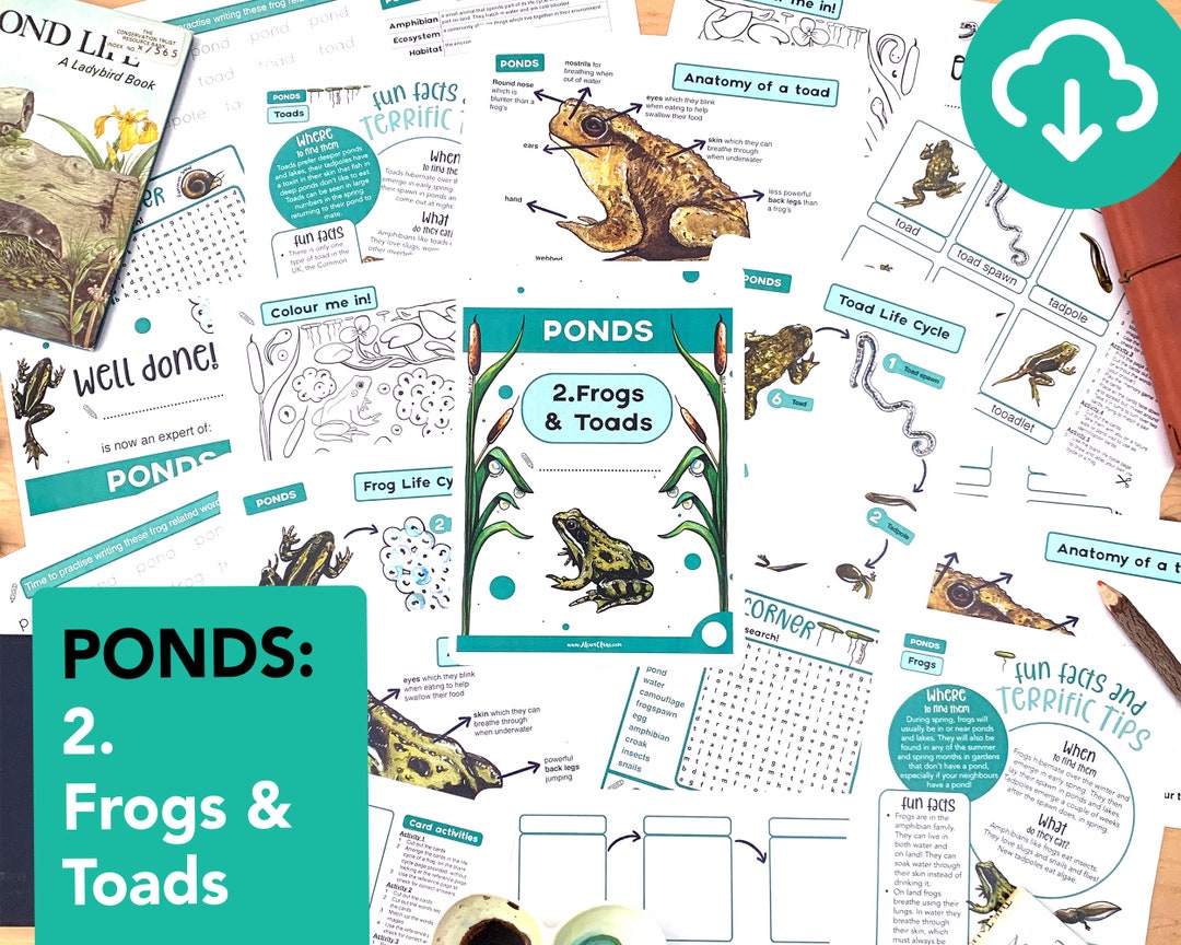 Frogs and Toads Nature Study Pack - Educational Pond Printable - Home ...