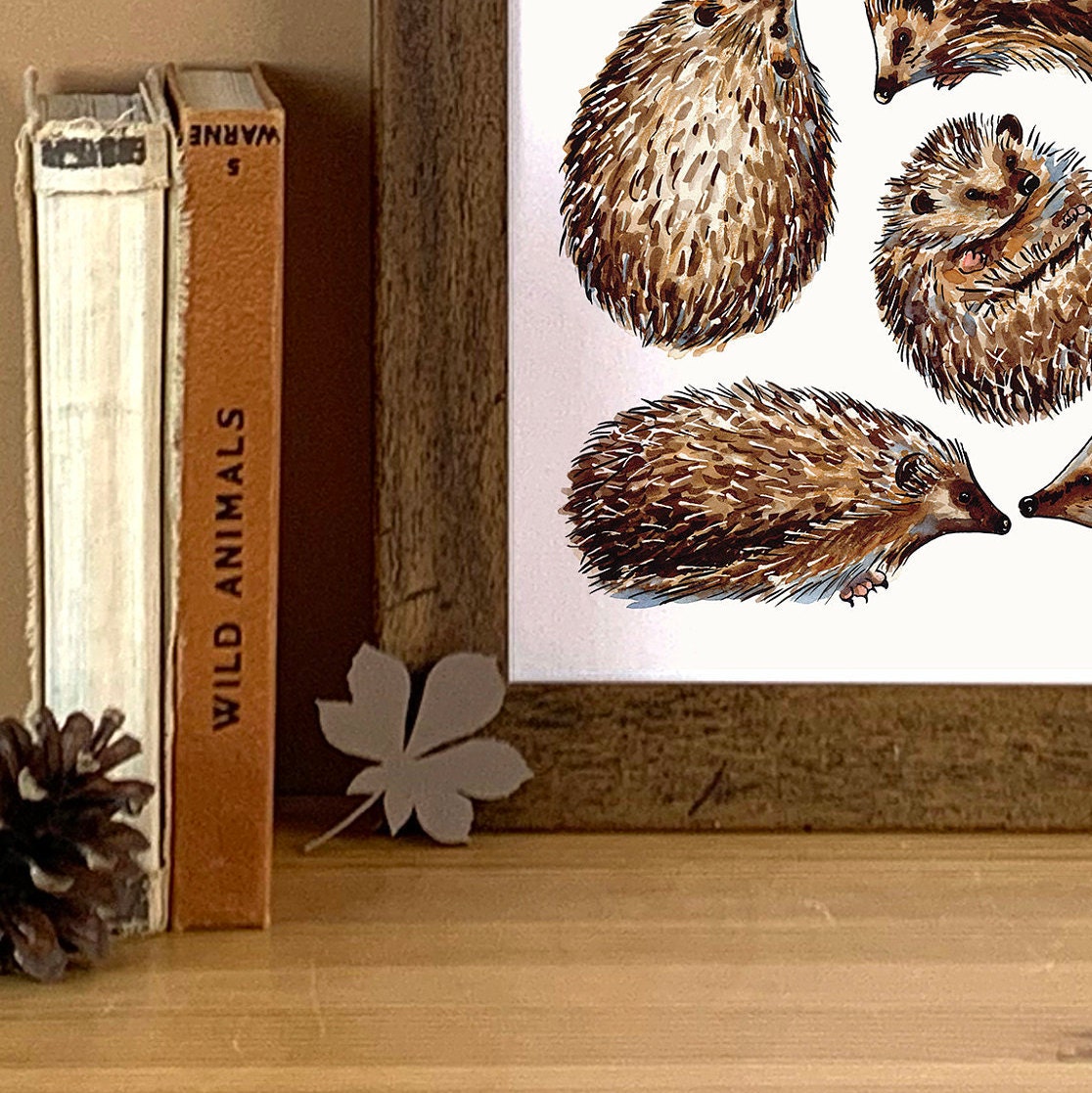 Hedgehogs Watercolour Print - Collective Nouns Array of Hedgehogs - Etsy UK