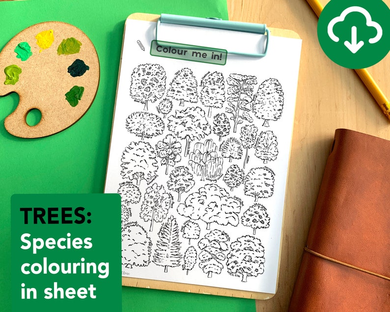 Trees Species Colouring in Sheet Educational Tree Printable - Etsy