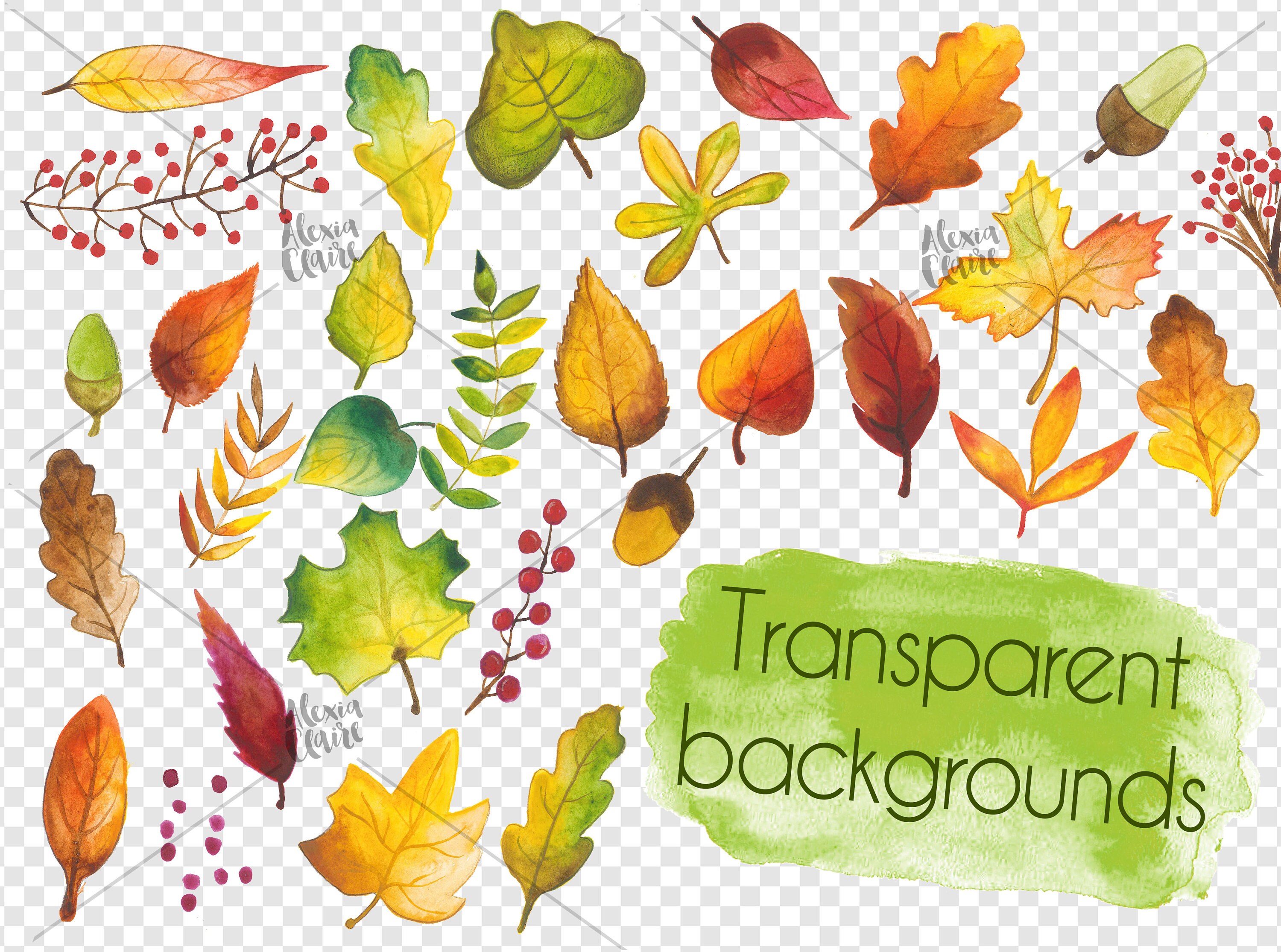 Autumn Leaves Clipart Fall Clipart Autumn Clipart Planner - Etsy UK