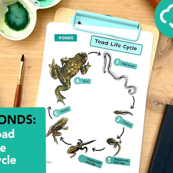 AlexiaClaire - Etsy UK