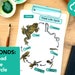 Toad Life Cycle Poster Educational Pond Printable - Etsy