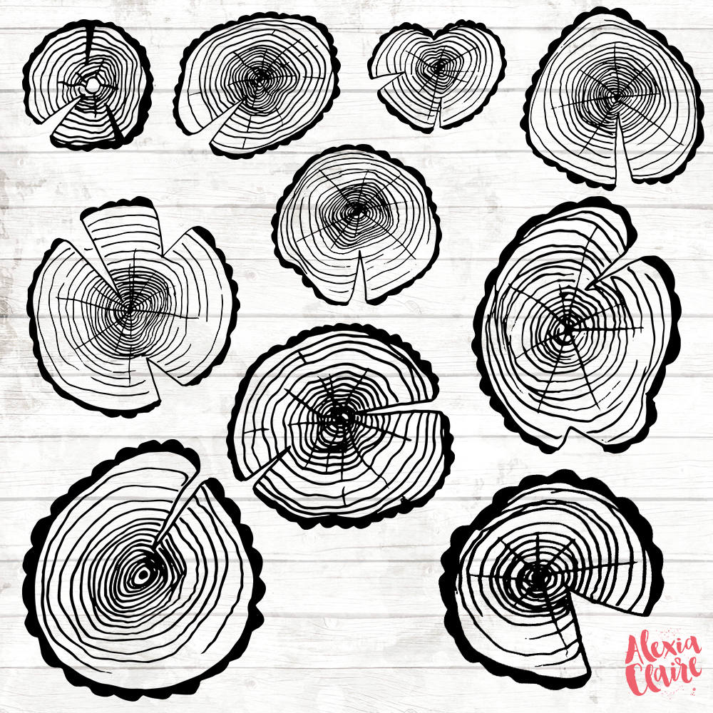 Tree Slices Clipart - 10 Hand Drawn Tree Slices Cliparts - Tree Logo ...
