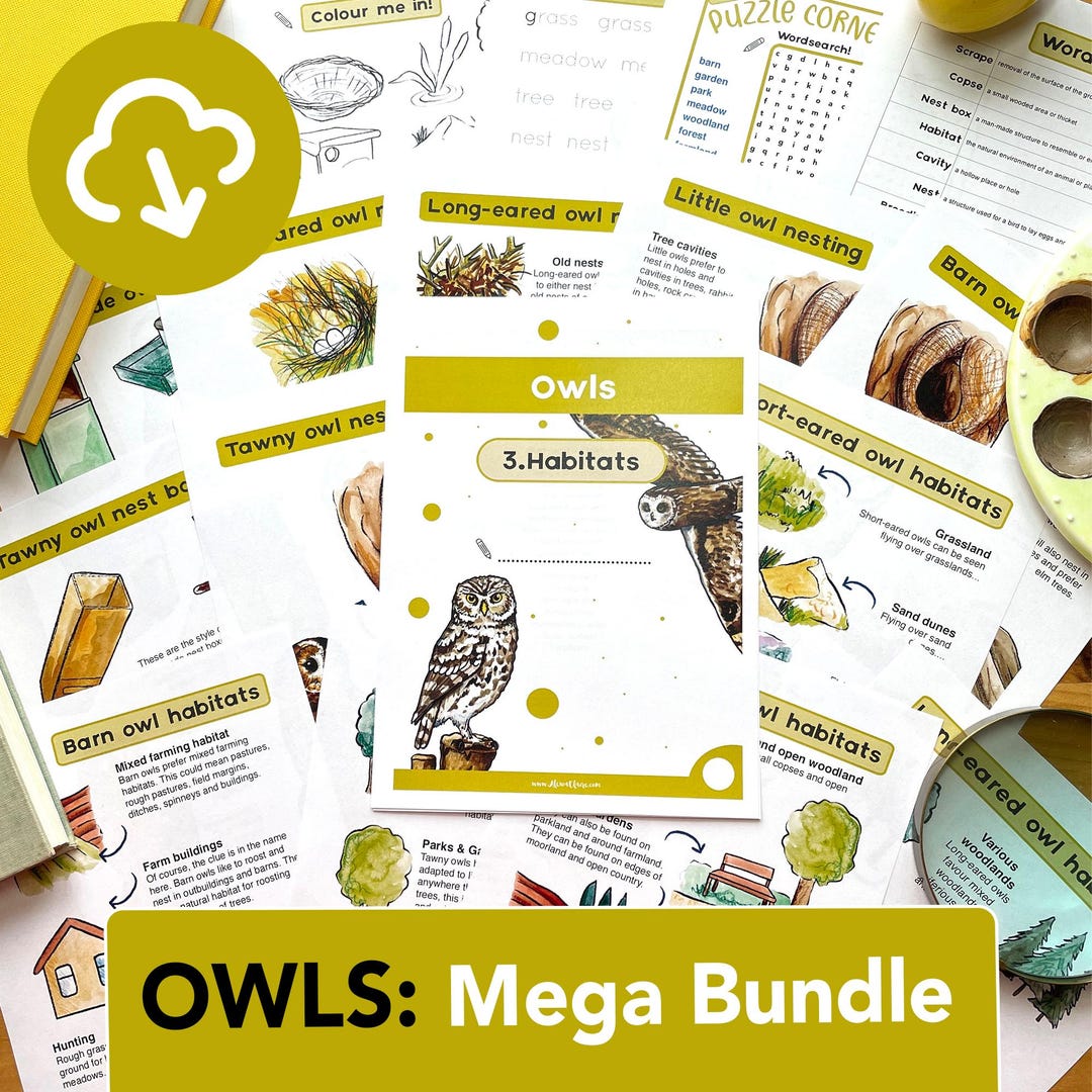 Mega Bundle Owls Nature Learning - Three Mini Studies in One - Owl ...