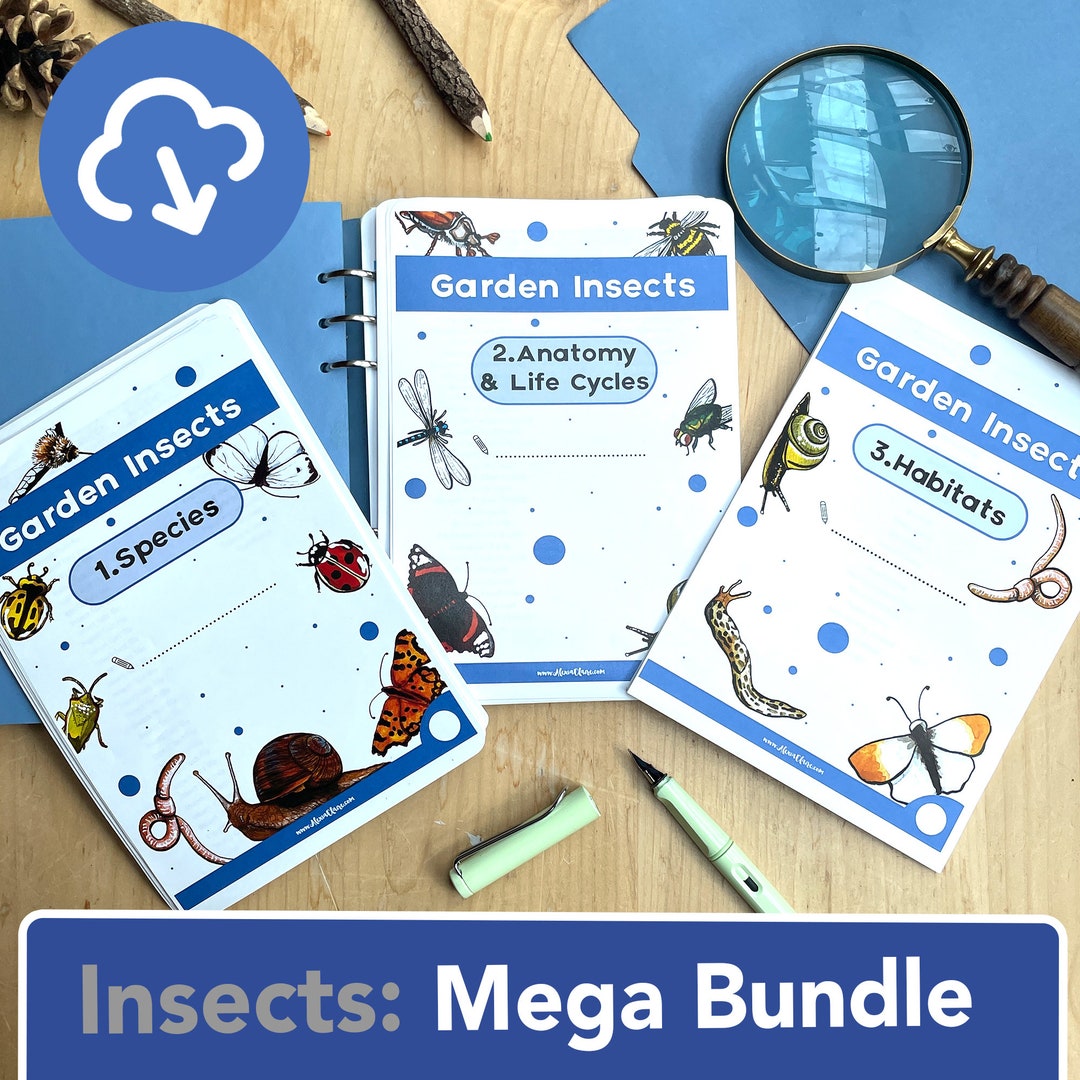 Mega Bundle Garden Insects Nature Learning - Three Studies in One - Bug ...