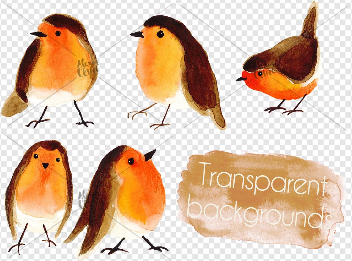 Robin Clipart Robins Watercolour Clip Art Robin | Etsy