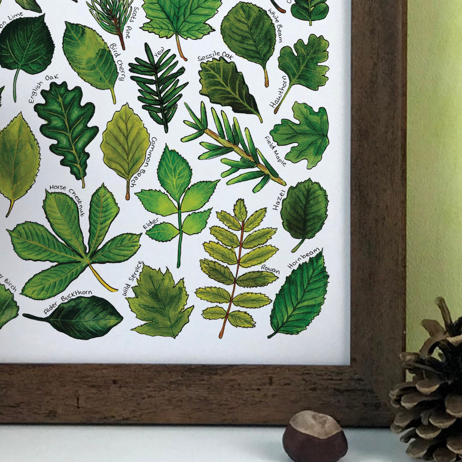 Leaves of Britain Print, Trees Poster, Nursery Print, Wildlife ...