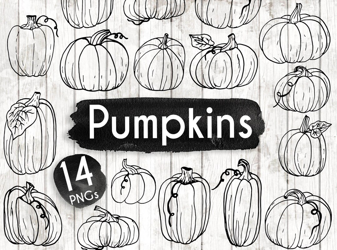 Pumpkin Clipart Hand Drawn Halloween Clip Art Pumpkin Vector Art ...